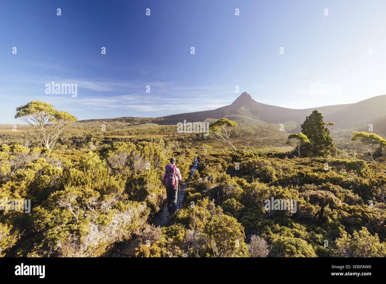 A hiker amongst wide landscape views at sunset of Barn Bluff and alpine ...