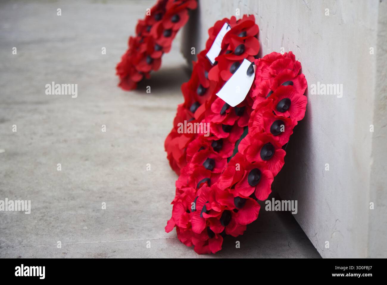 Remembrance Day Poppy Wreaths at Memorial. World War remembrance day ...