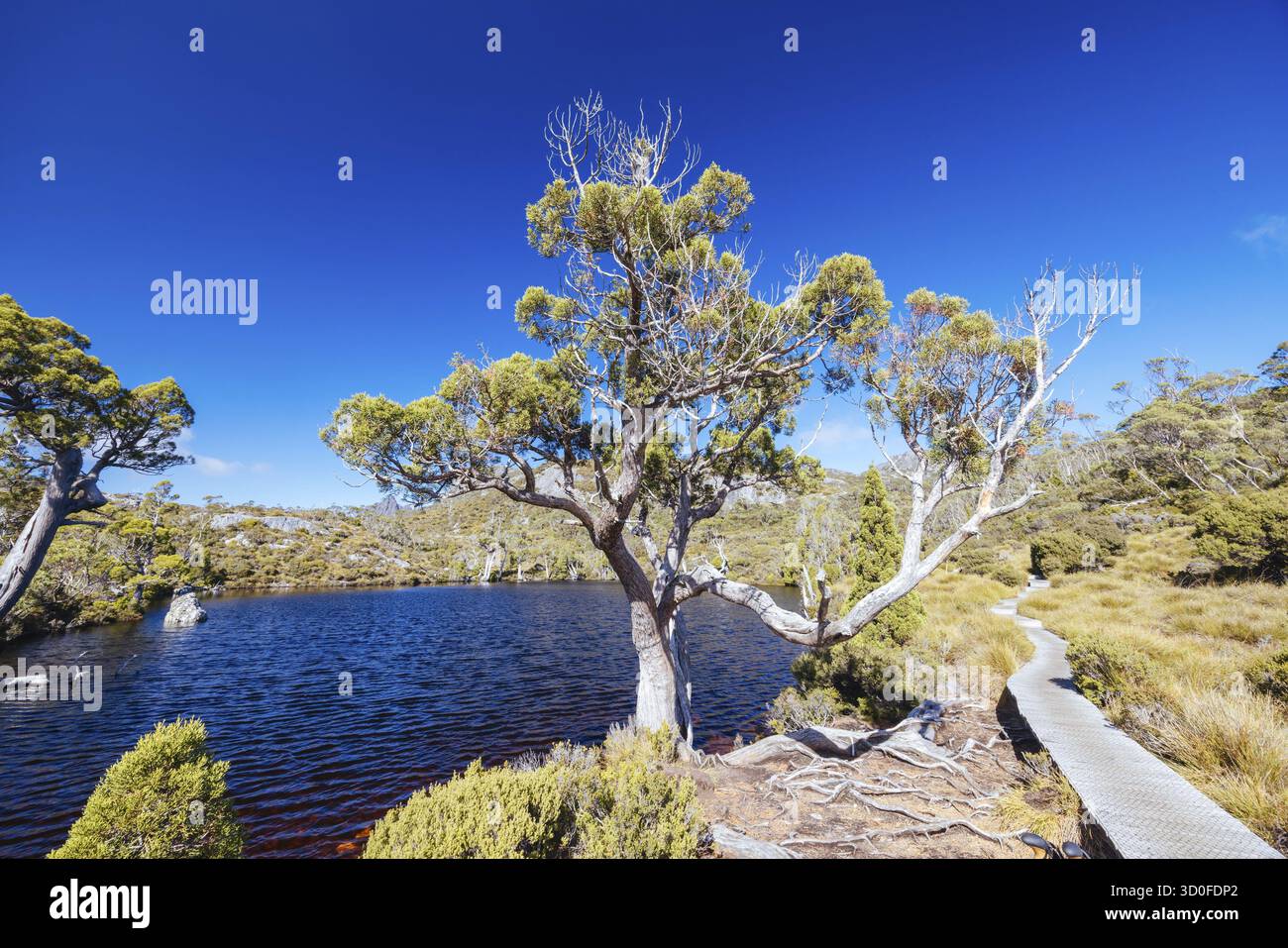 The view of mountain landscape around Wombat Pool on the Overland Track ...
