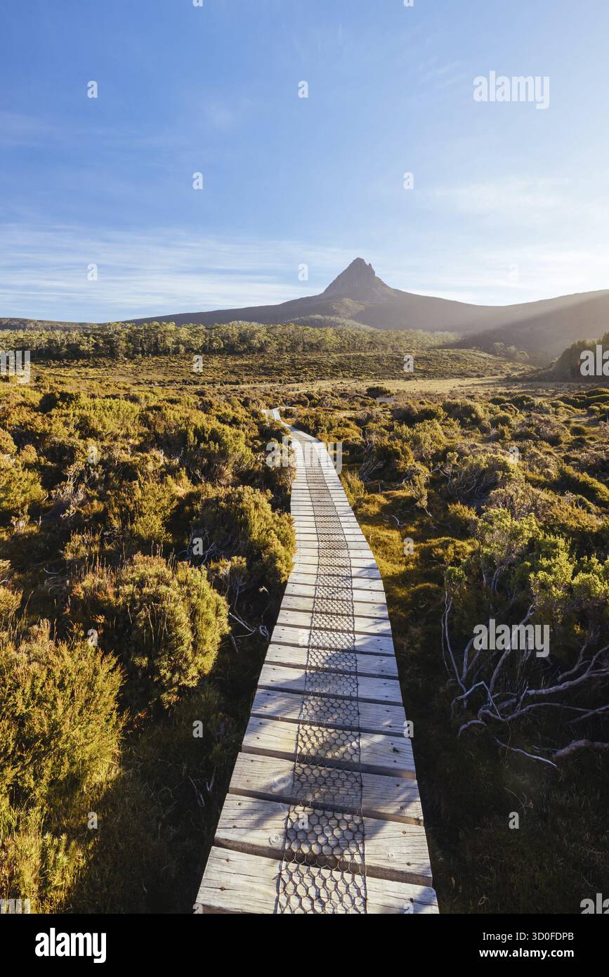 The wide landscape views at sunset of Barn Bluff and alpine heath ...
