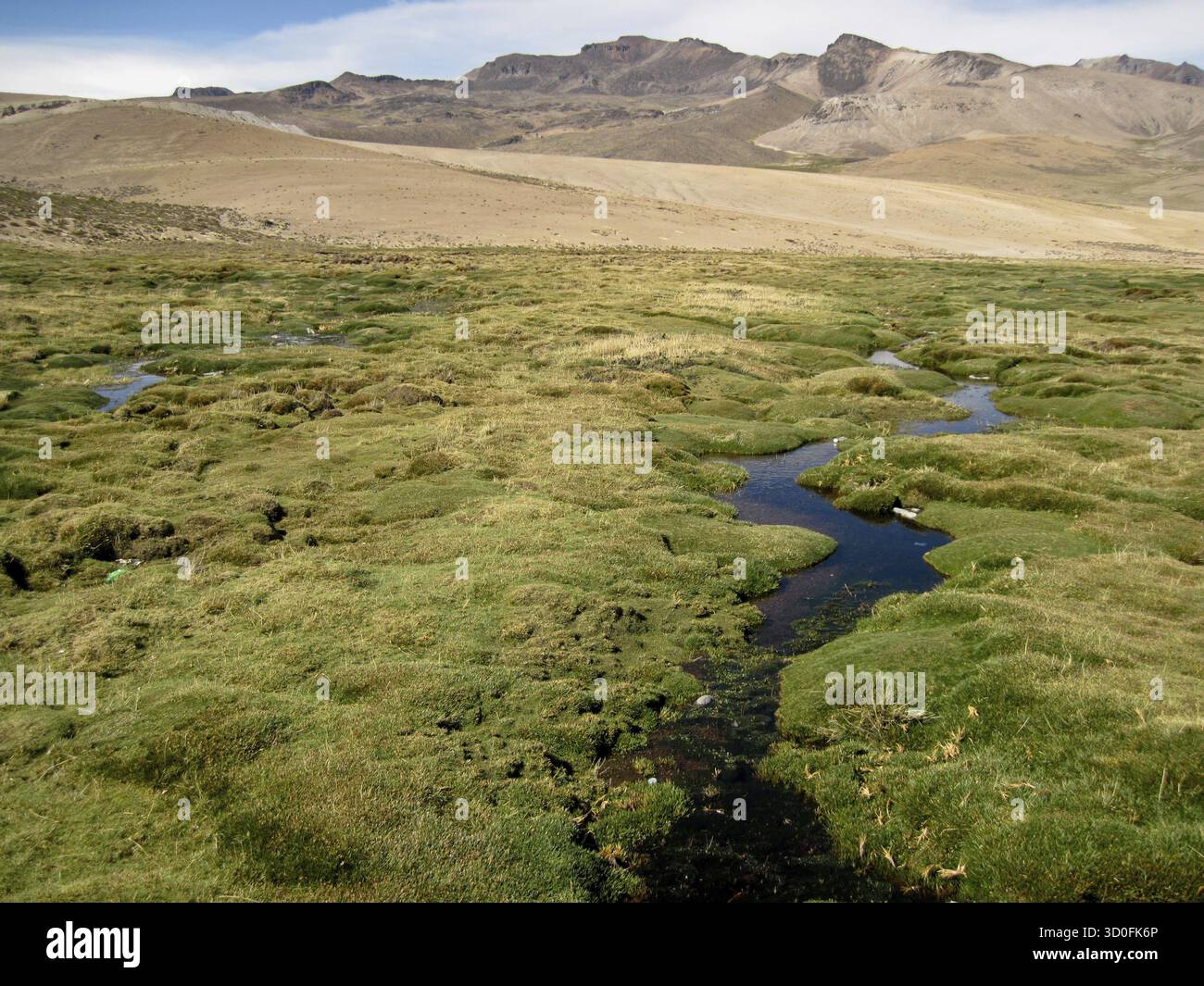 Anden in peru andes hi-res stock photography and images - Alamy