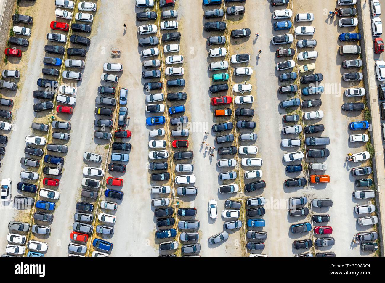 Aerial view of countless vehicles neatly aligned in rows, a vibrant ...