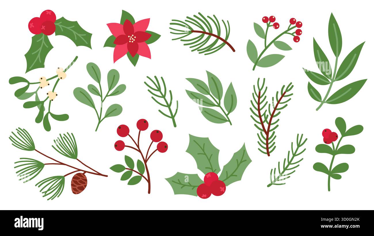 Spruce twig winter berries Stock Vector Images - Alamy