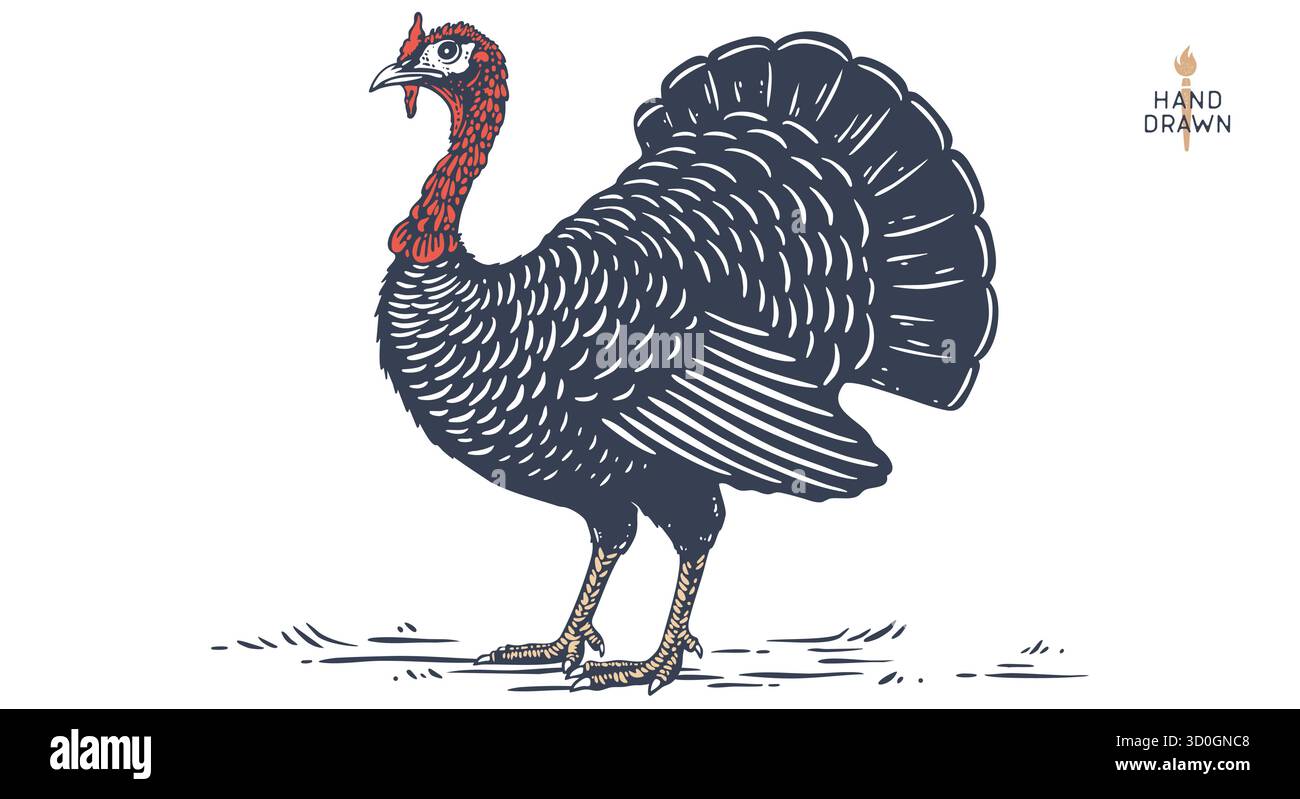 Turkey happy thanksgiving holiday Cut Out Stock Images & Pictures - Alamy