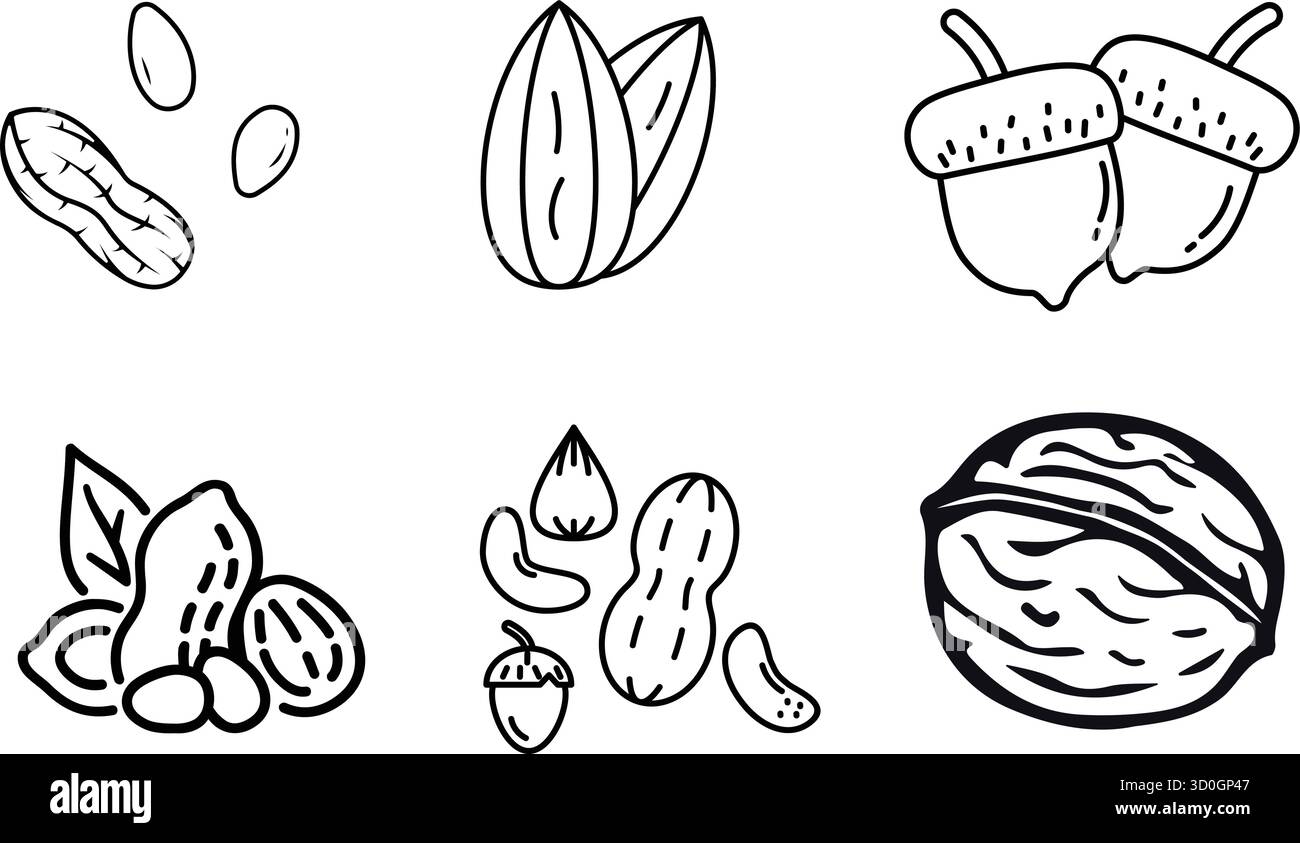 Collection of nut icons showing different types of nuts Stock Vector ...