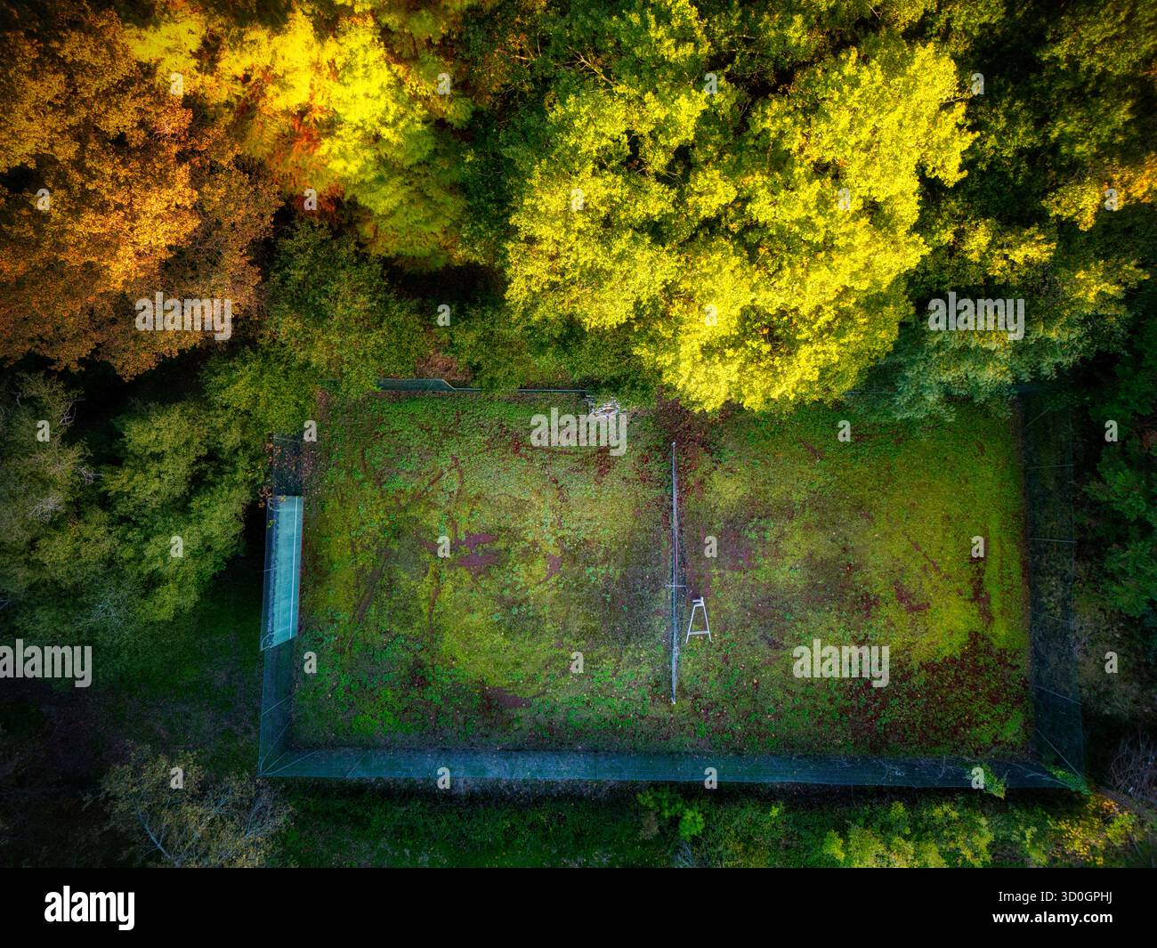 Aerial view of a tennis court overtaken by moss and leaves, surrounded ...