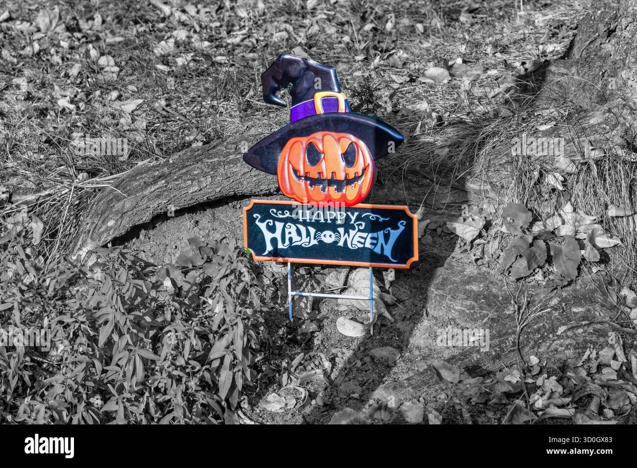 2025 halloween hi-res stock photography and images - Alamy