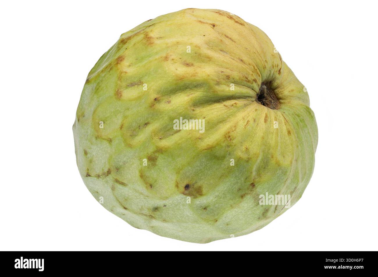 Chirimoya fruit on white Cut Out Stock Images & Pictures - Alamy