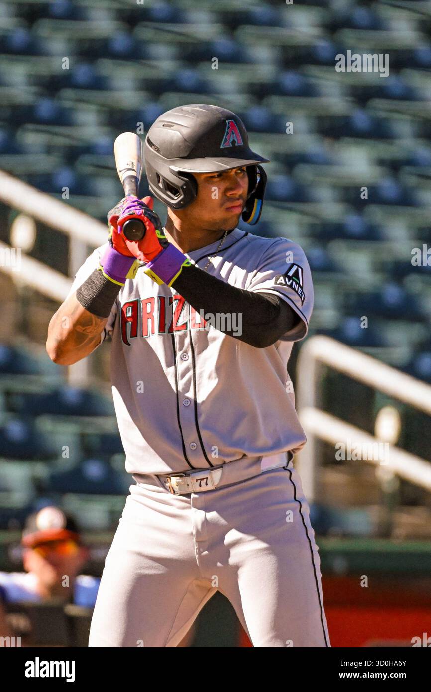 Glendale Desert Dogs catcher Kenny Castillo (77) strikeout in the first ...