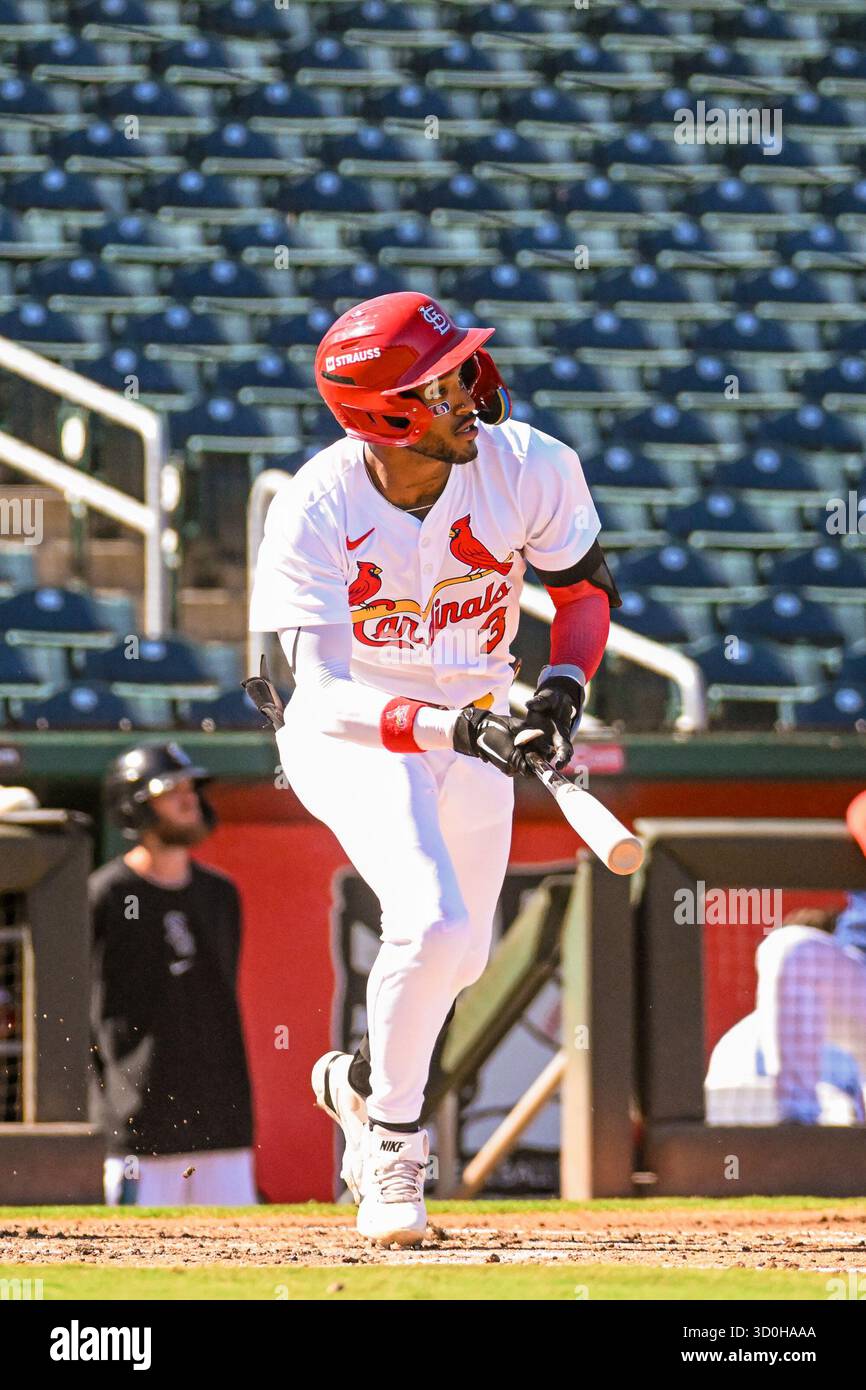 Salt River Rafters right fielder Miguel Ugueto (3) singles in the first ...