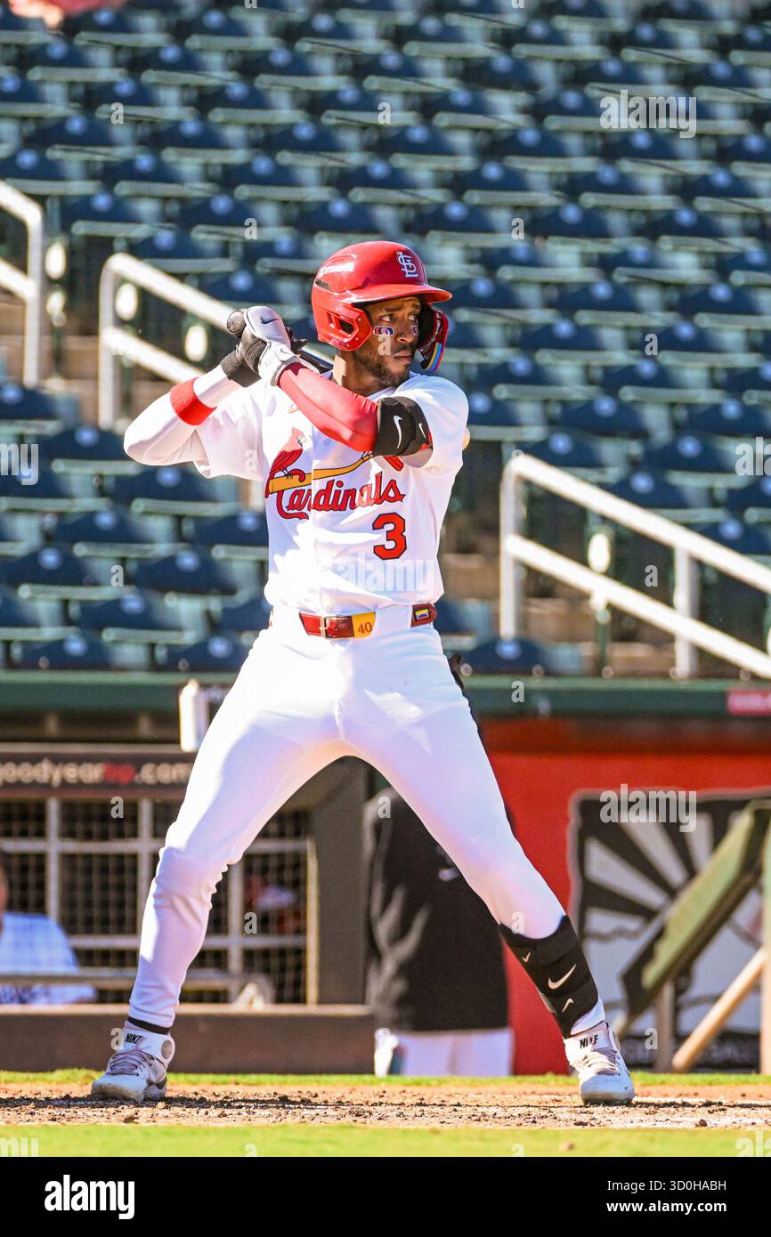 Salt River Rafters right fielder Miguel Ugueto (3) singles in the first ...