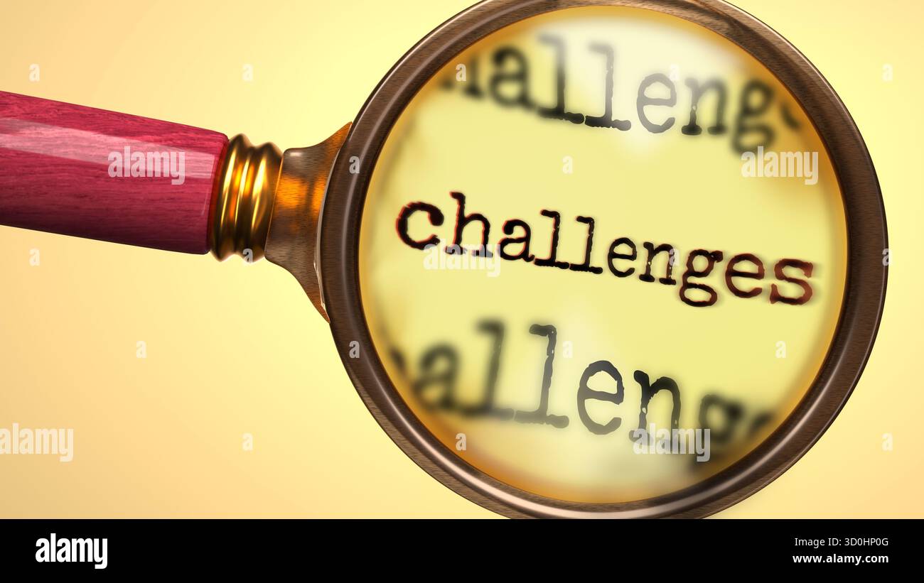 Challenges under magnifying glass. Thorough analysis and inspection of ...