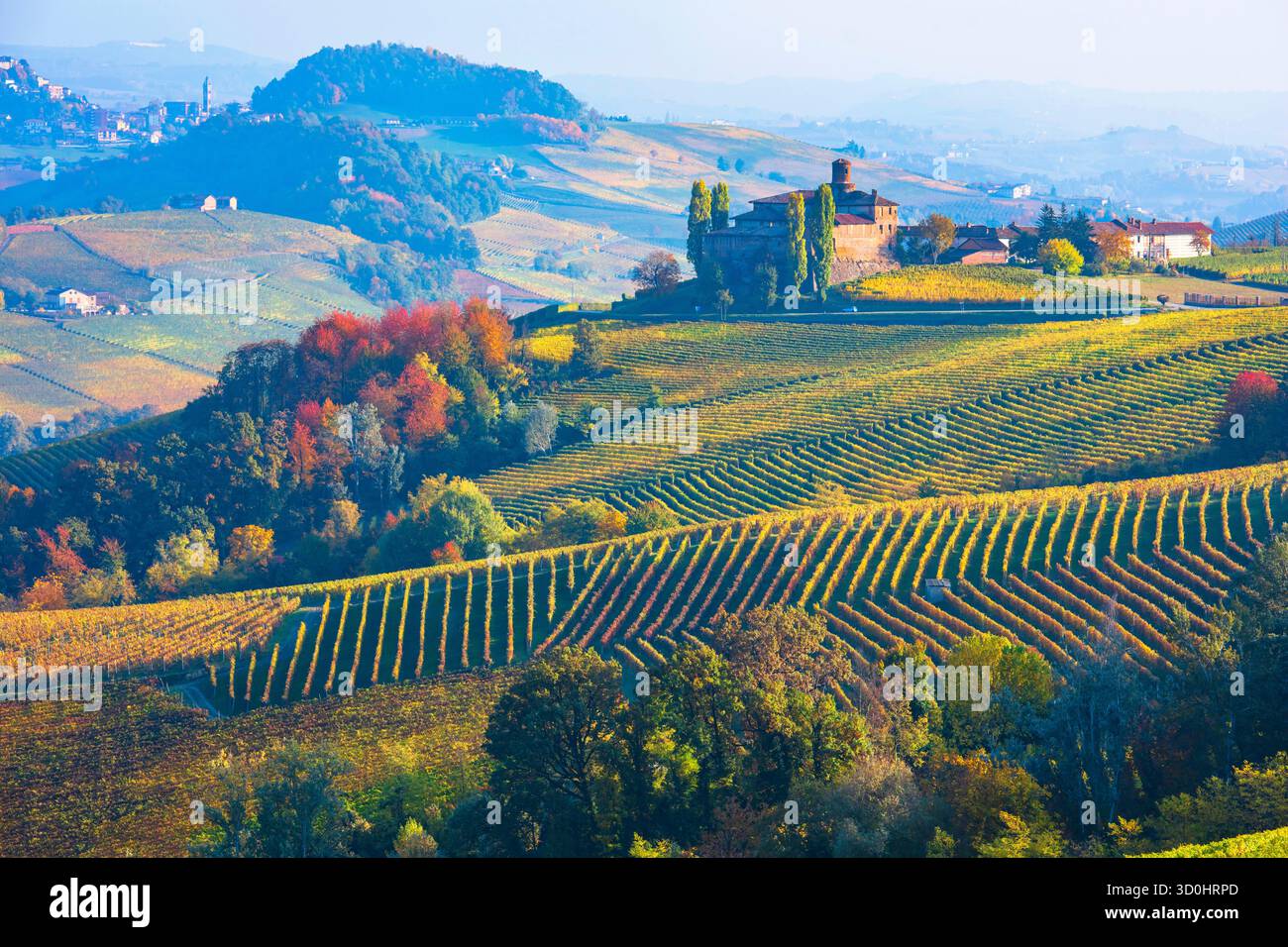 Autumn landscape - beautiful colorful vineyards of Piedmont wine region ...