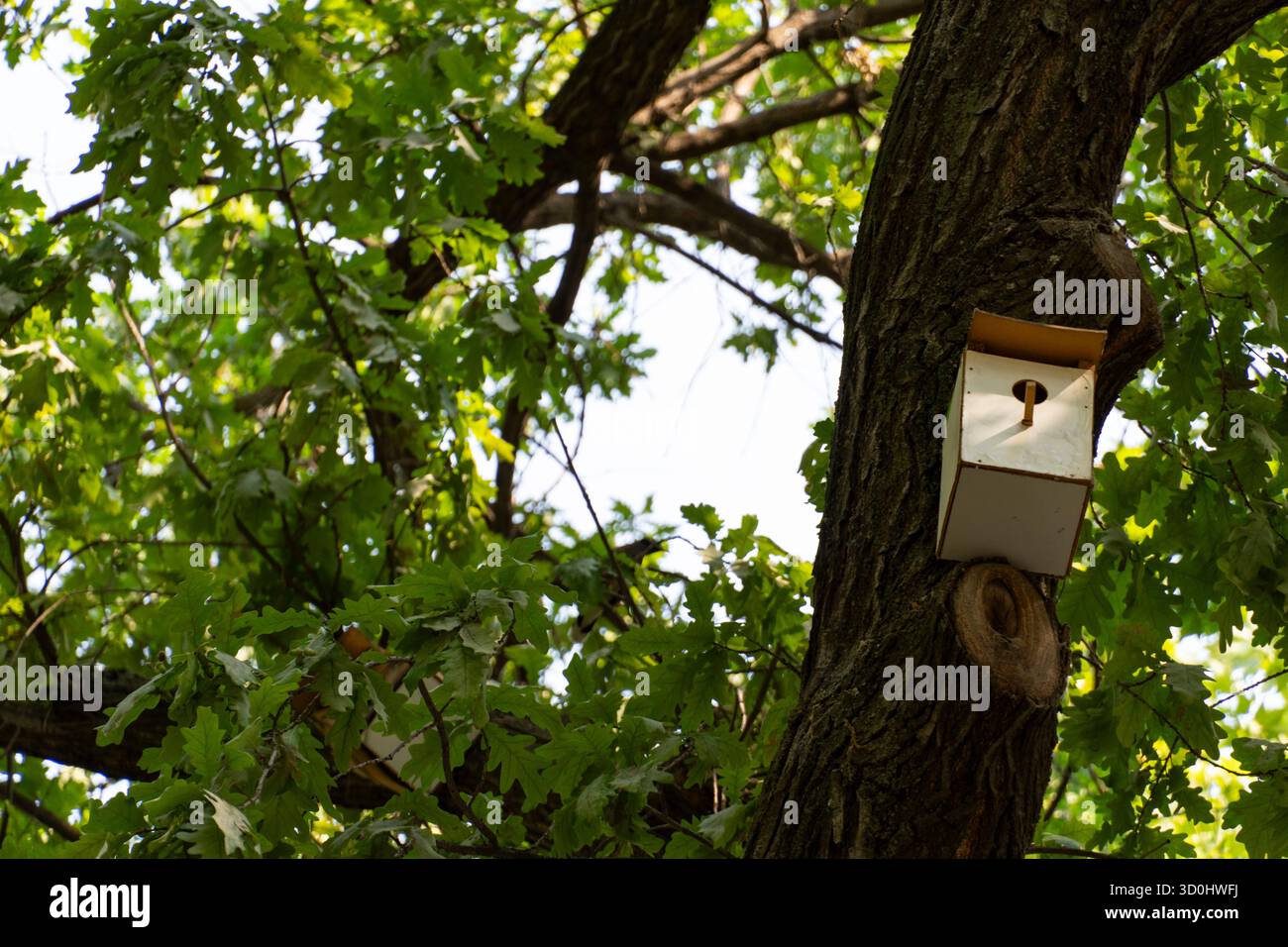 A handmade wooden birdhouse mounted on a tree surrounded by bright ...