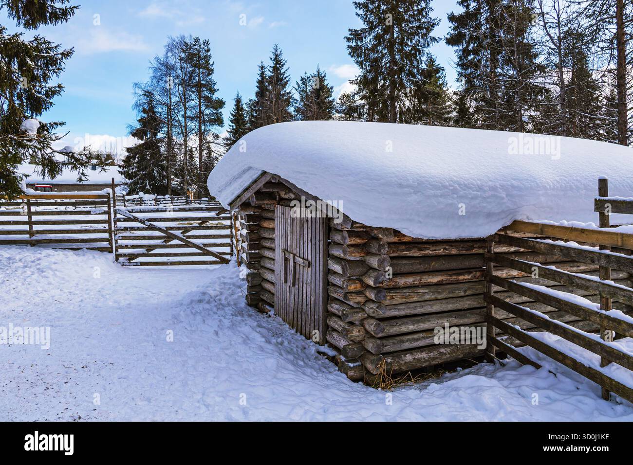 Reindeer stable with snow in winter near kuusamo hi-res stock ...