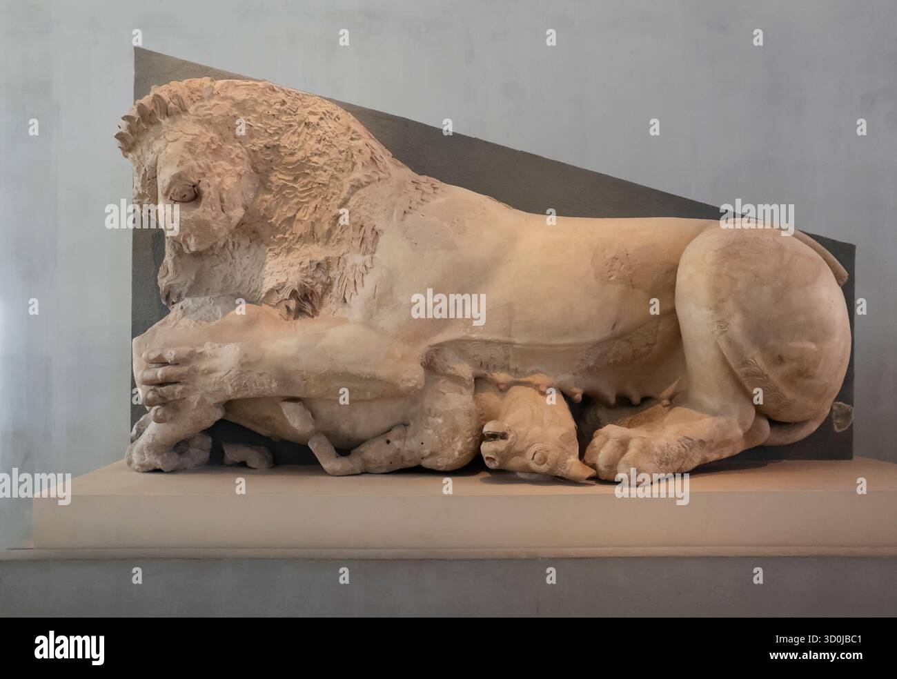 A 5th century BC limestone sculpture of a lion attacking a bull at the ...