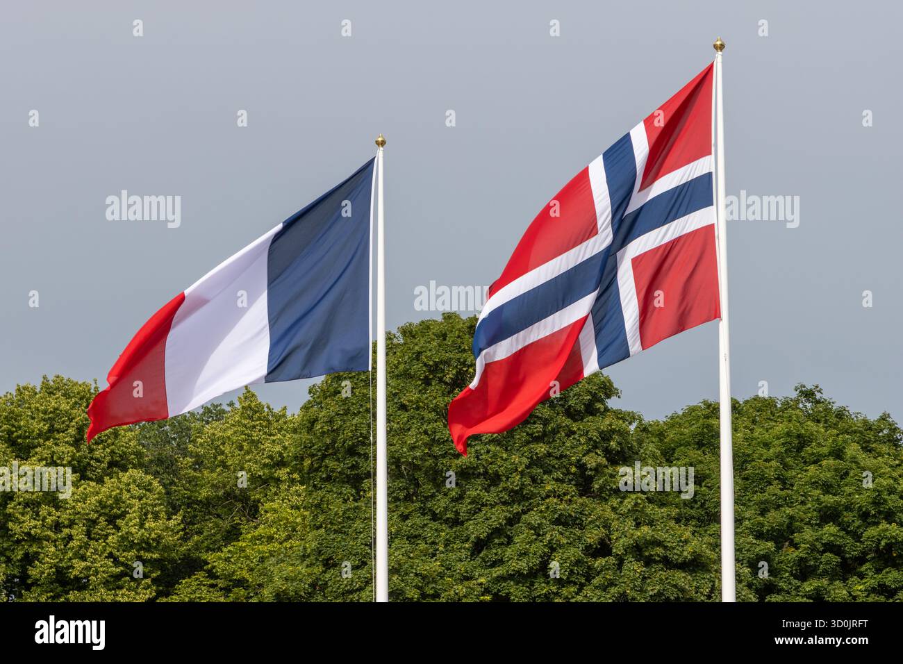The national flag of Norway and the flag of France hoisted at the ...