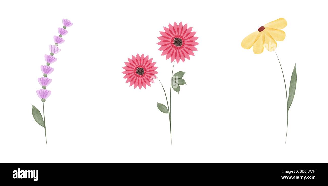 Three simple watercolor illustrations appear on a white background ...