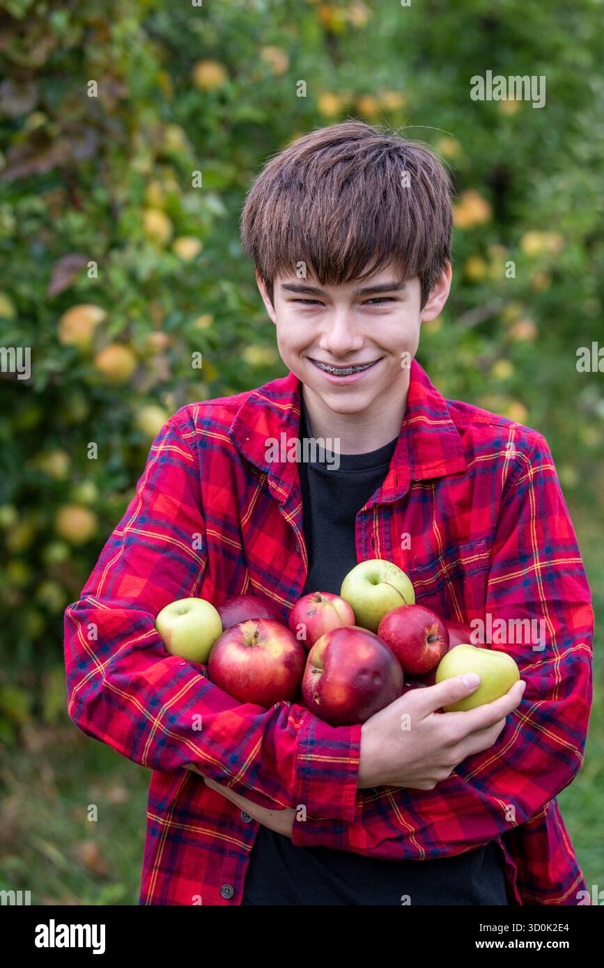 Autumn at the farm Stock Photo - Alamy
