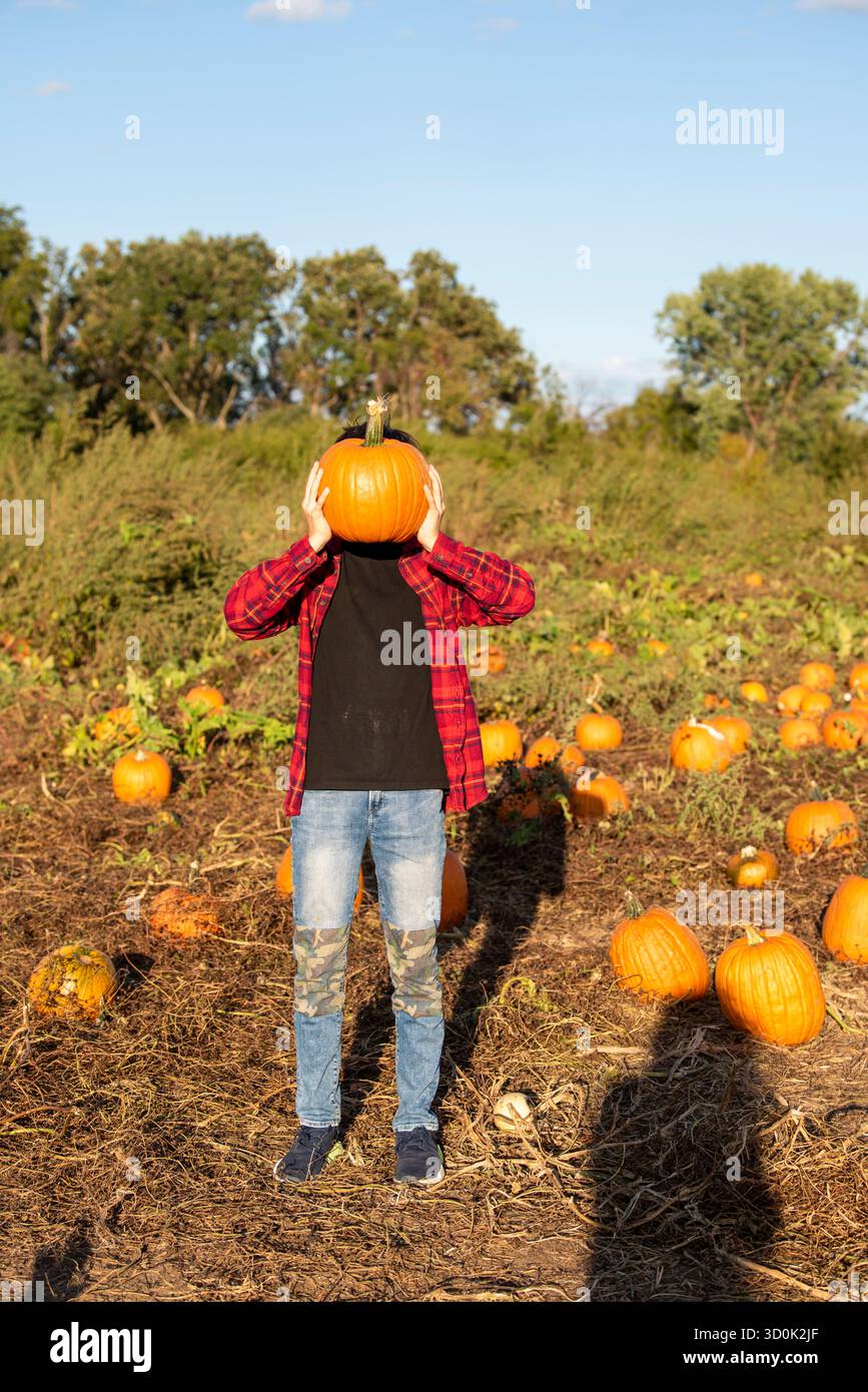 Autumn at the farm Stock Photo - Alamy