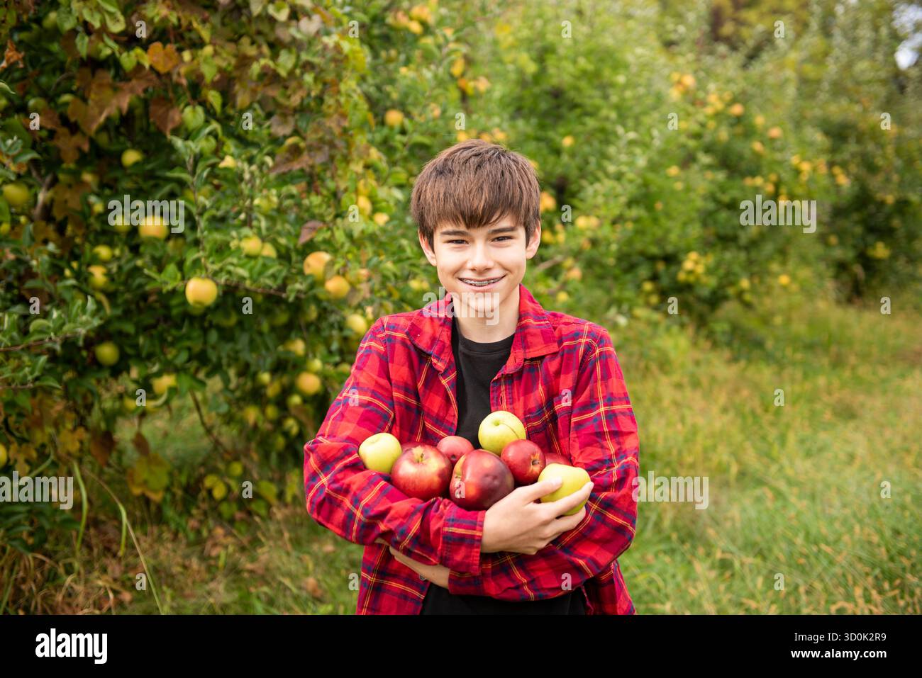 Autumn at the farm Stock Photo - Alamy