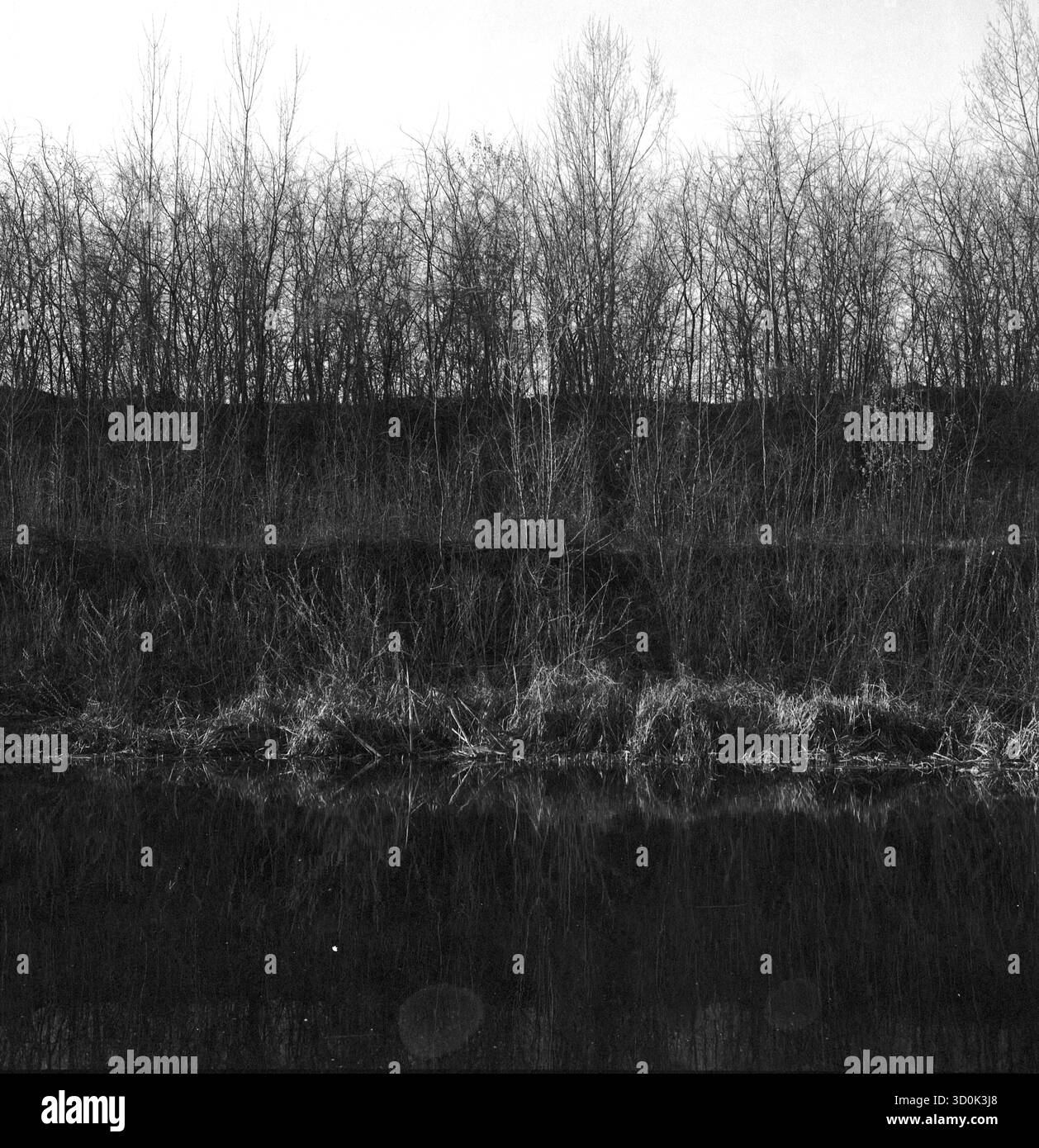IC film shot of a calm water surface reflecting the opposite shore ...
