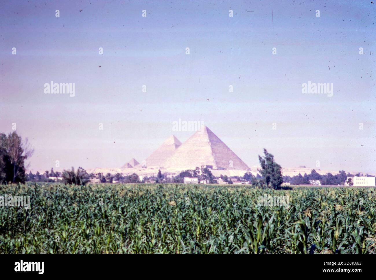 The area around the Great Pyramid of Giza, the largest of the three ...