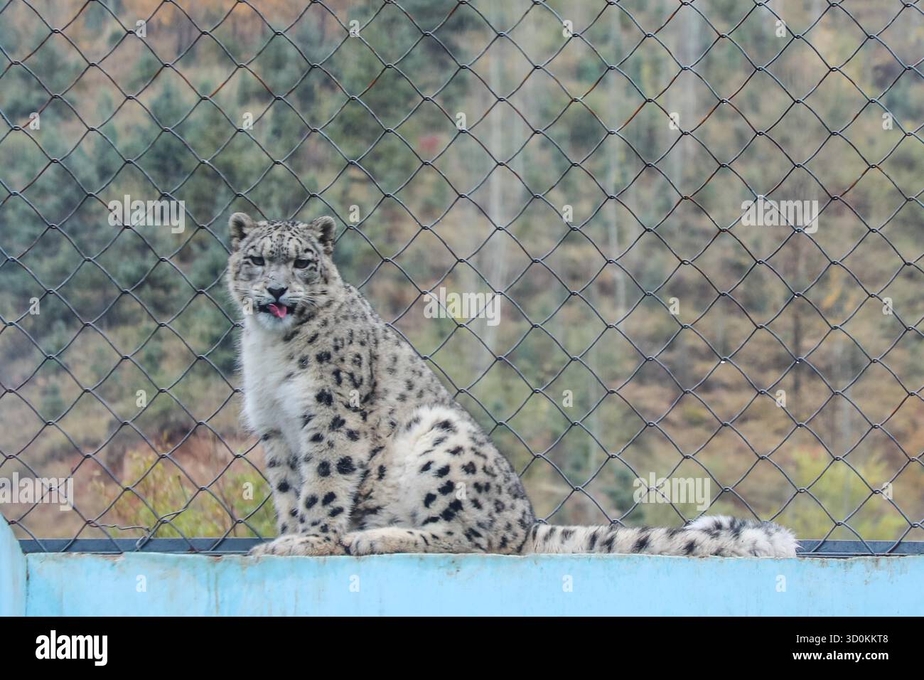 **CHINESE MAINLAND, HONG KONG, MACAU AND TAIWAN OUT** The promotional ...