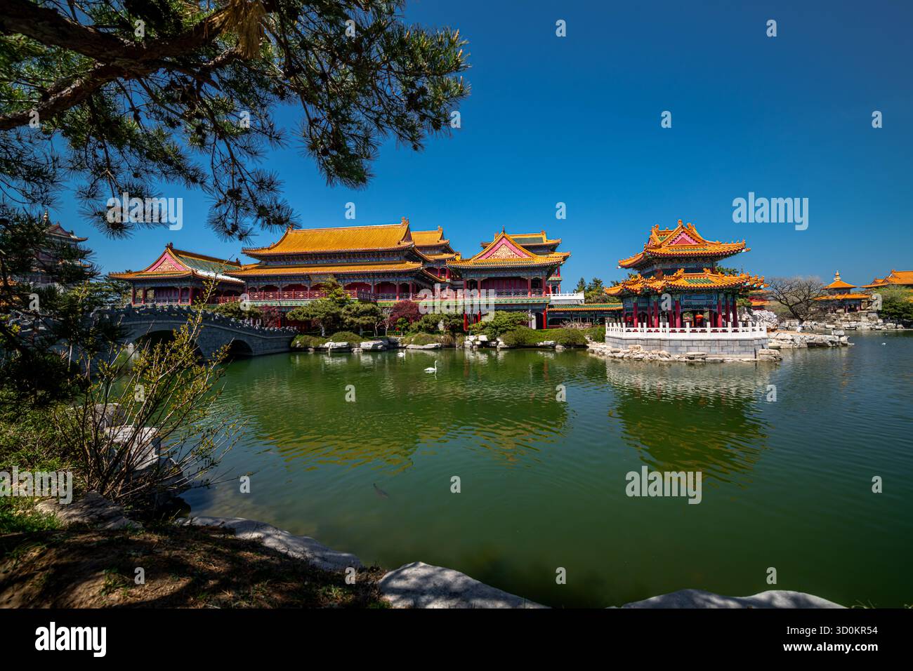 Swans in front of traditional red Chinese pavilion in San xian shan ...