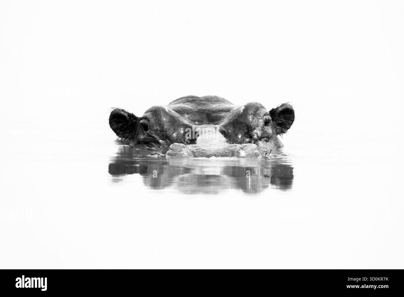 Mono reflection in water Cut Out Stock Images & Pictures - Alamy