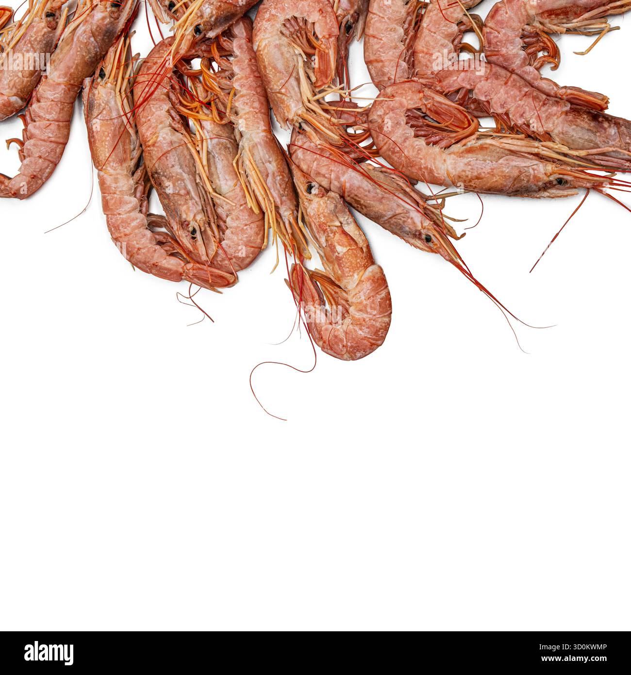 A border of fresh raw red prawns is arranged in the corner on a clean ...