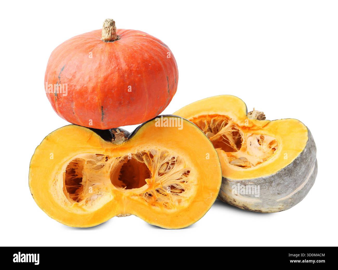 Harvest pumpkins gourds on Cut Out Stock Images & Pictures - Alamy