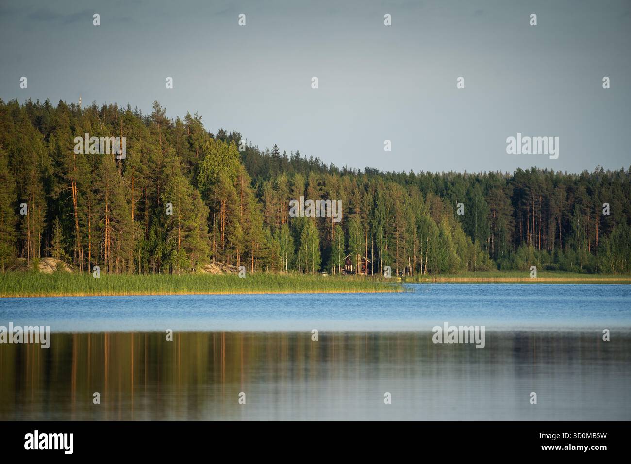 Nestled among pine trees hi-res stock photography and images - Alamy