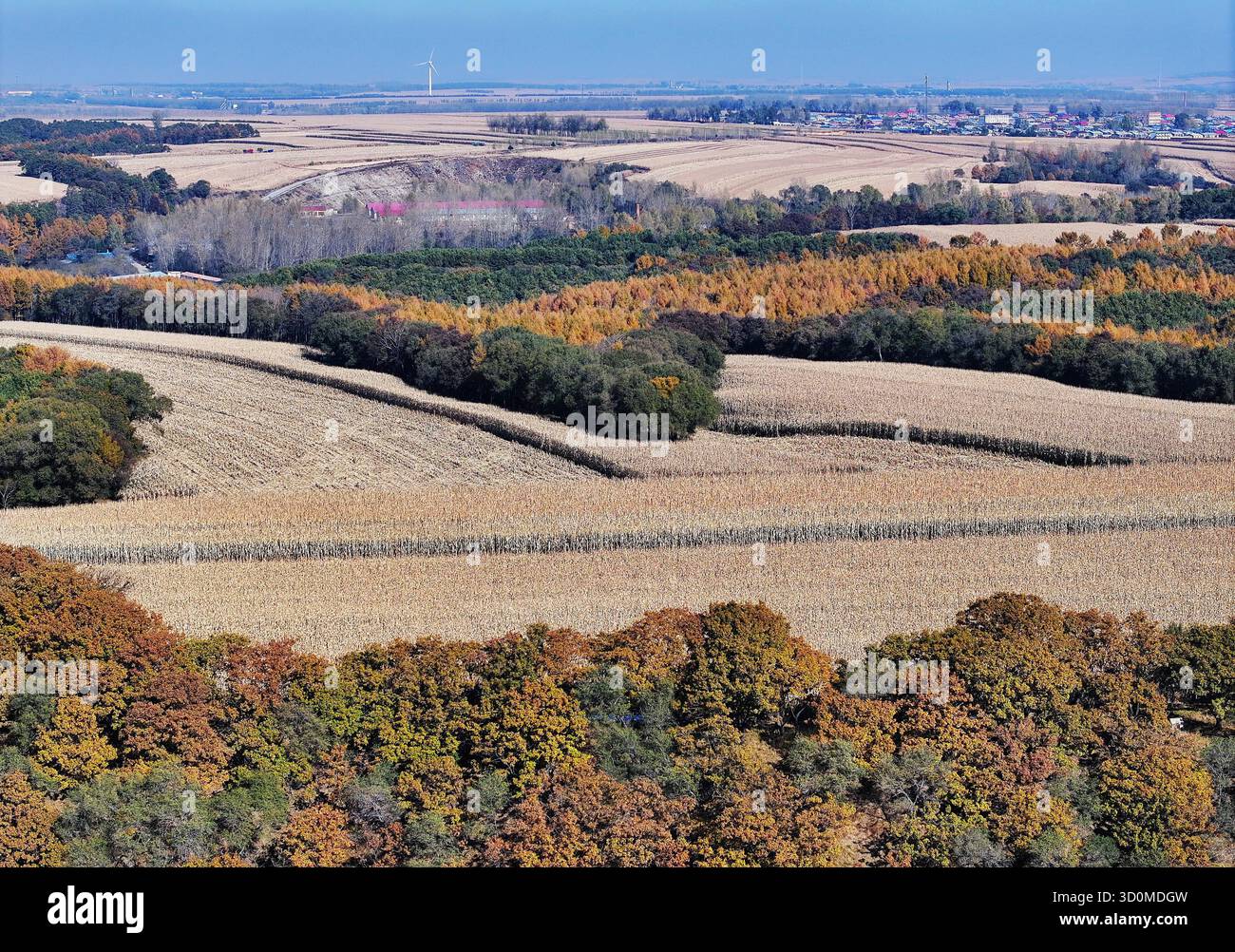 Aerial photo shows the autumn scenery in the field in Harbin City ...