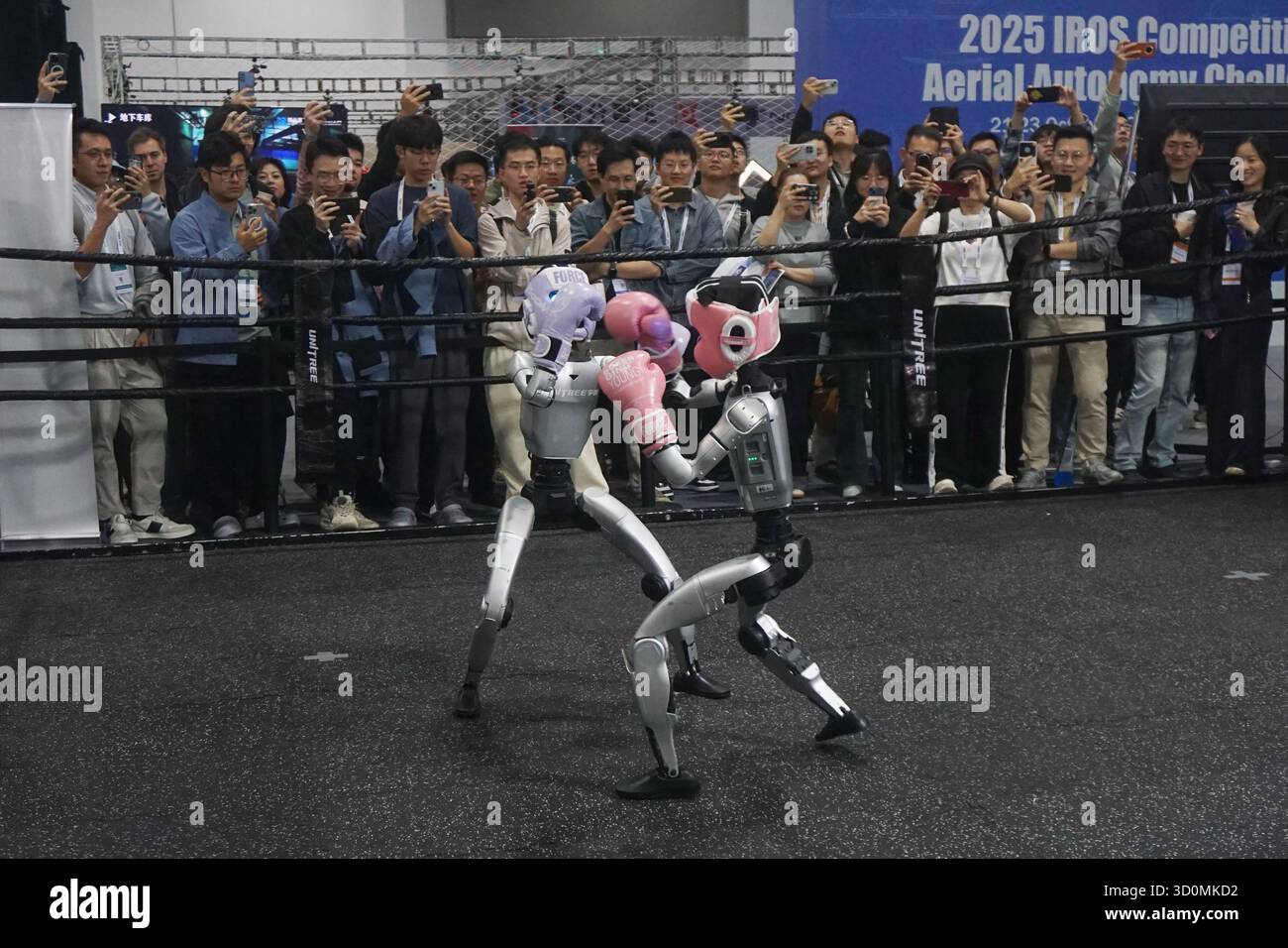 People watch Unitree Robotics's humanoid robots compete in a boxing ...