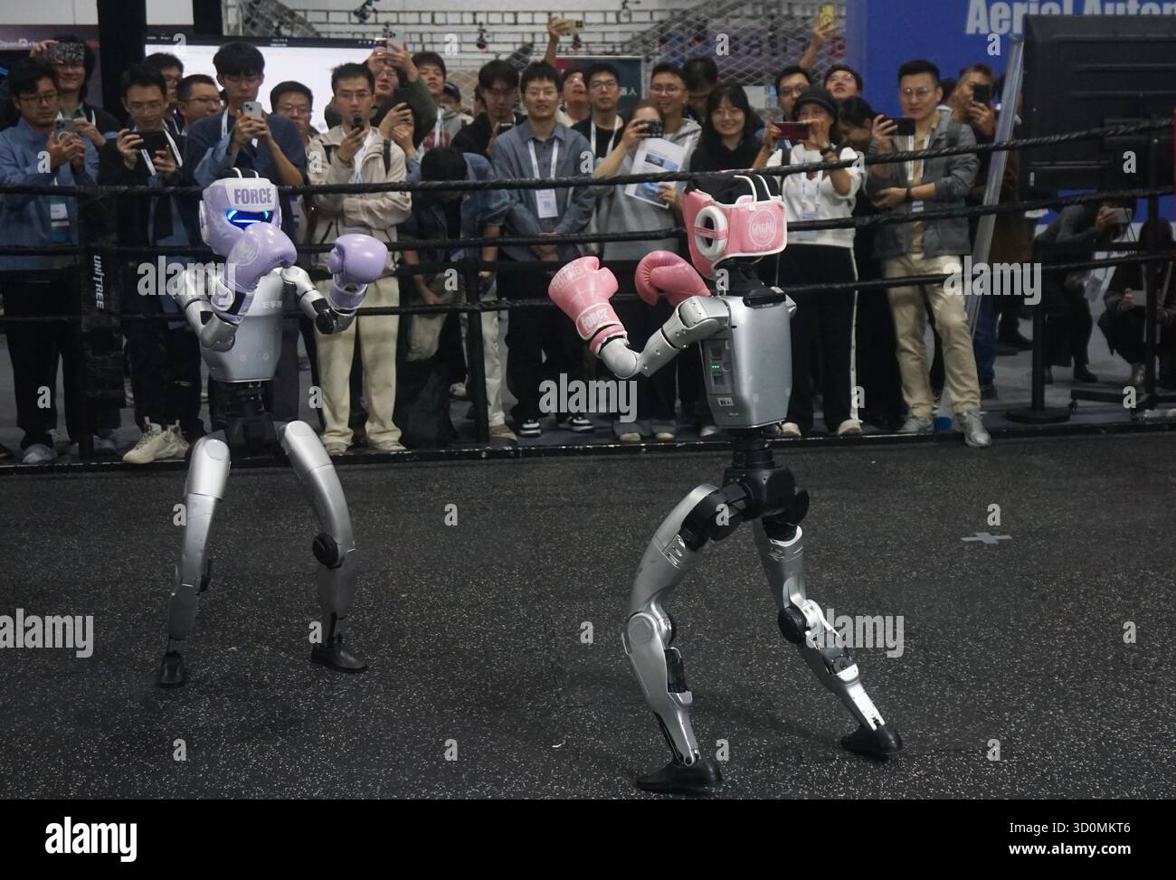 People watch Unitree Robotics's humanoid robots compete in a boxing ...