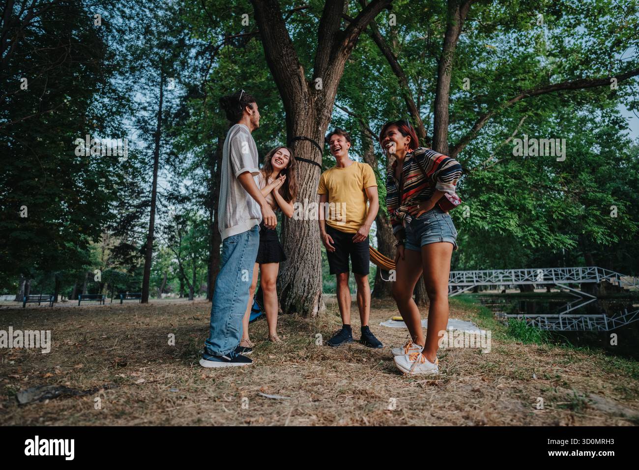 Group of friends laughing and chatting under a tree in a sunny park ...