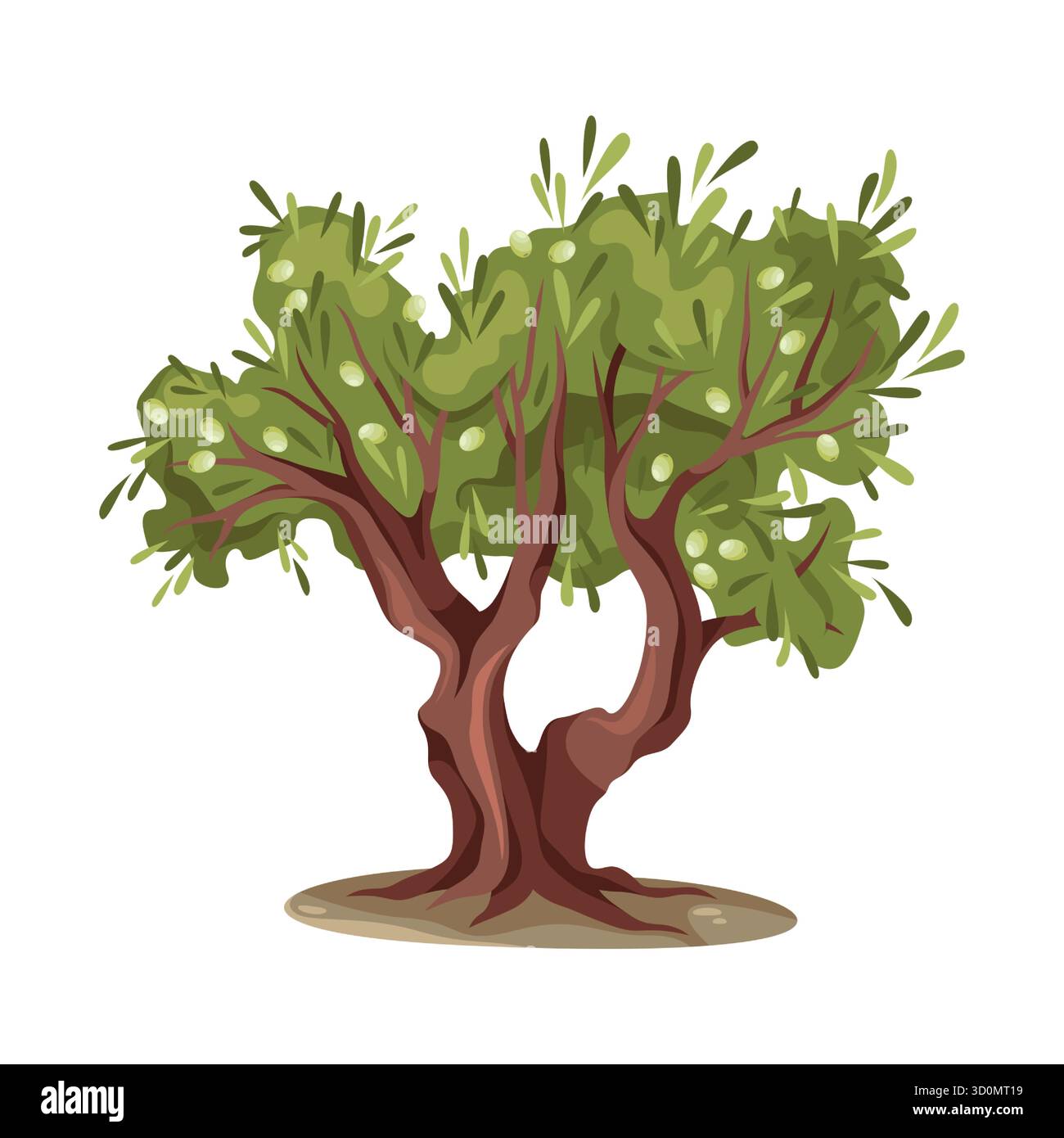 Climate olive tree Stock Vector Images - Alamy