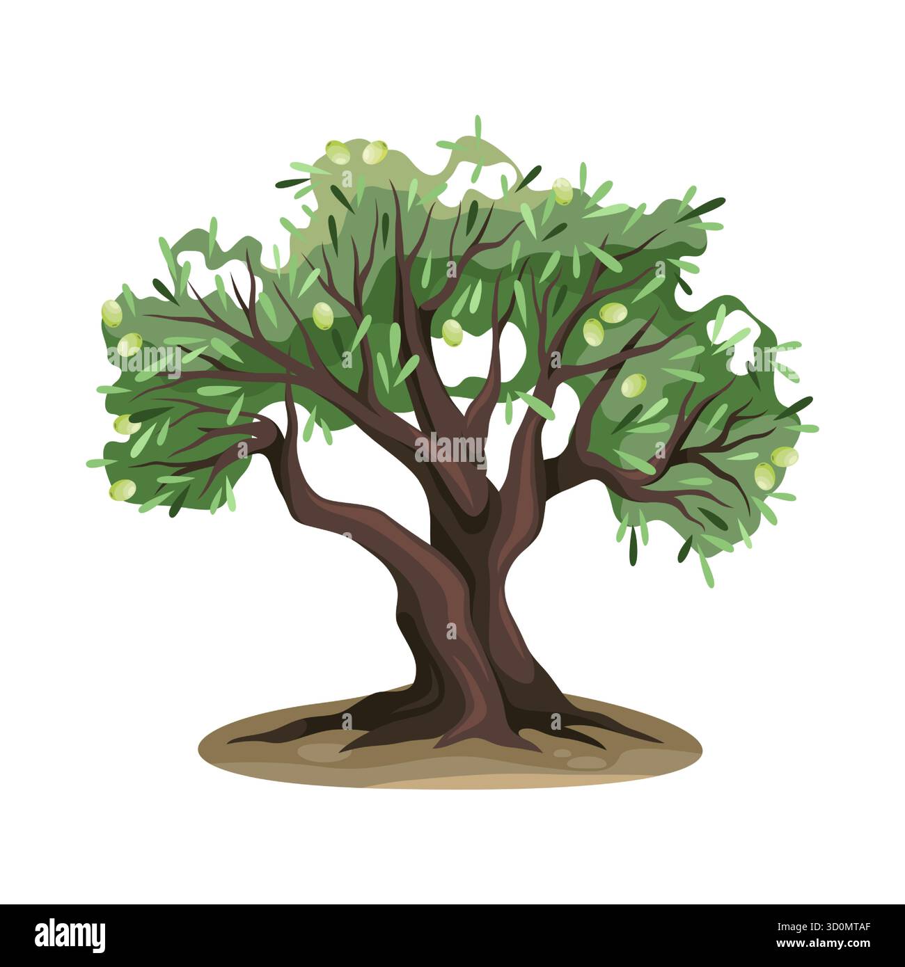 Olive fruit leaves plant Stock Vector Images - Alamy