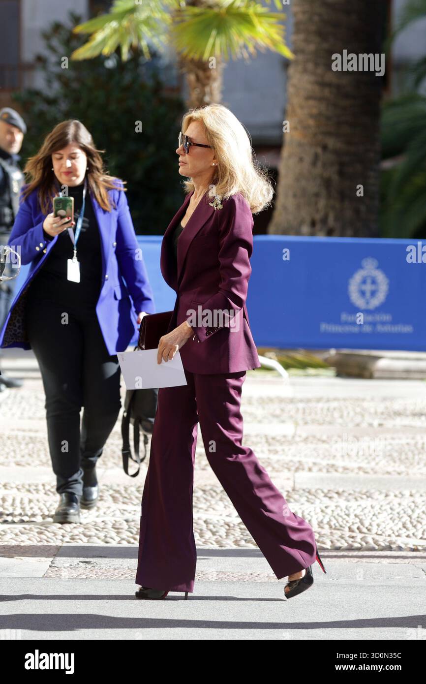 Alicia Koplowitz on her arrival at the Reconquista Hotel, on October 24 ...
