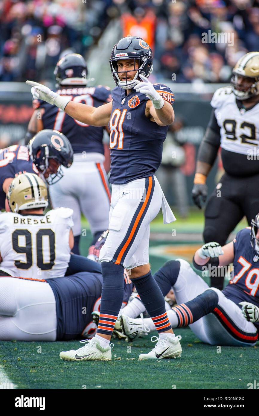 Chicago, IL, USA. 19th Oct, 2025. Chicago Bears Durham Smythe (81 ...