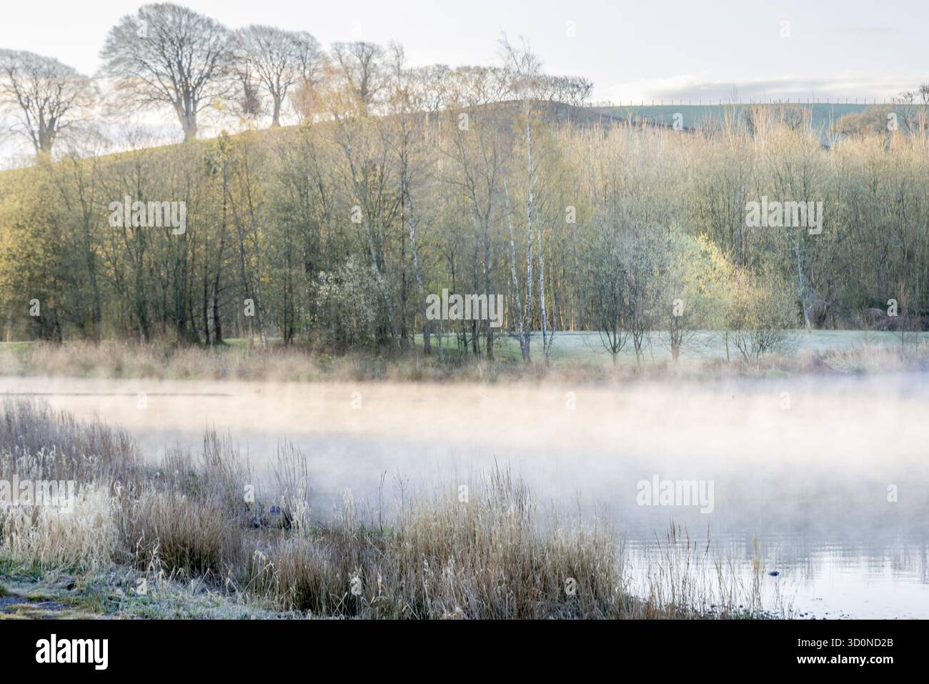Golden mist rising hi-res stock photography and images - Alamy