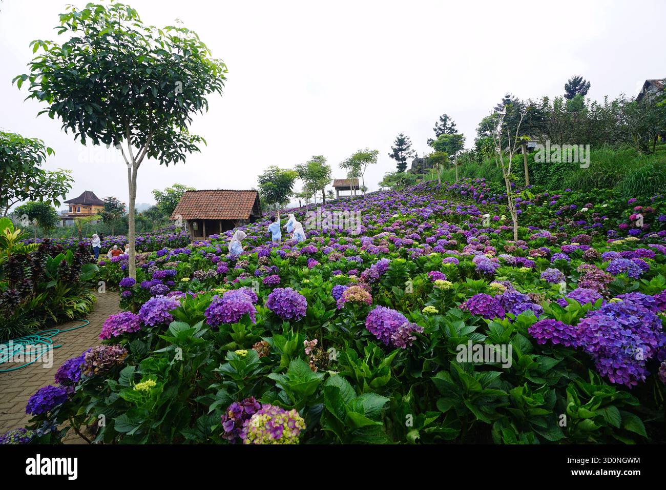 Dusun kuliner park hi-res stock photography and images - Alamy