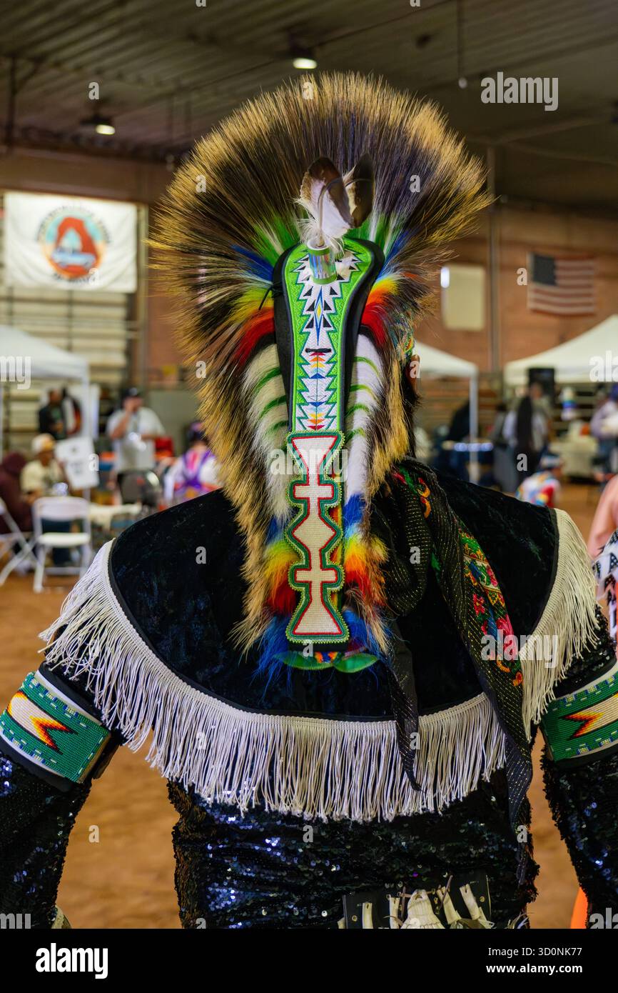 Detail of an Amerindian dancer's porcupine-hair roach headdress at a ...