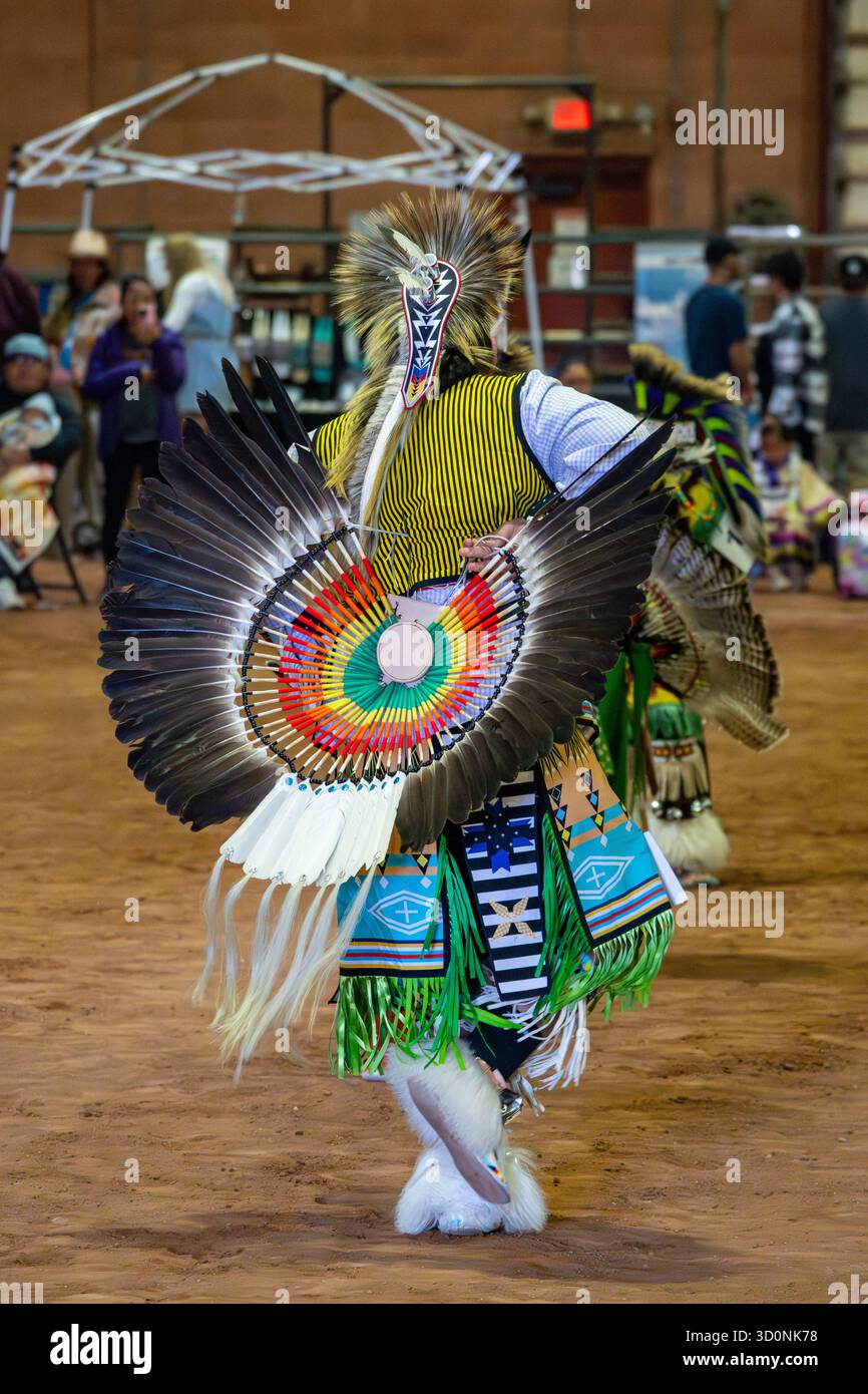 An Amerindian man in full regalia dances the Northern Traditional Dance ...