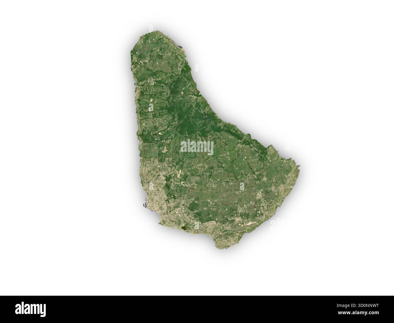 Weissy Cut Out Stock Images & Pictures - Alamy