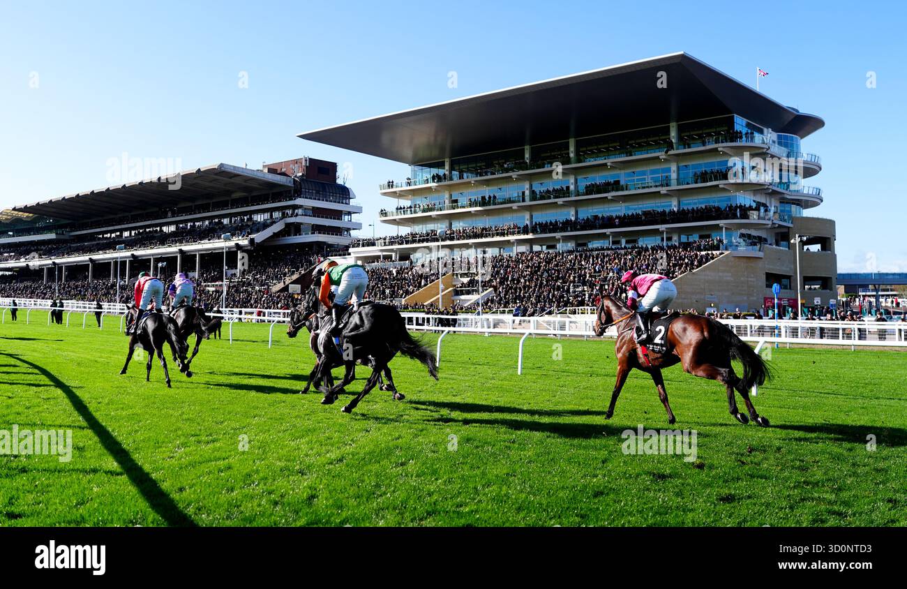 Runners and riders during the during the Holland Cooper 'Chasing Excellence' Novices' Chase at ...