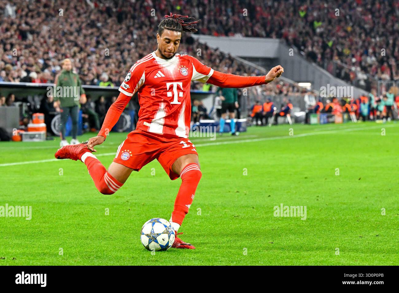 Michael OLISE (FC Bayern München, FCB, 17) am Ball, Freisteller ...