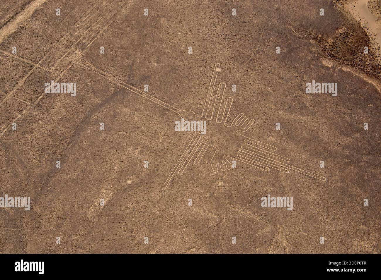 Geoglyphs lines nazca in hi-res stock photography and images - Alamy
