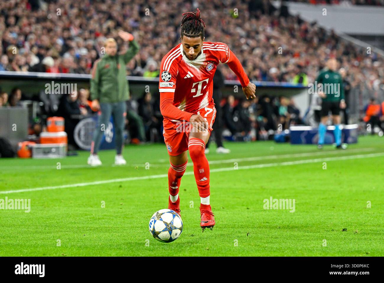 Michael OLISE (FC Bayern München, FCB, 17) am Ball, Freisteller ...